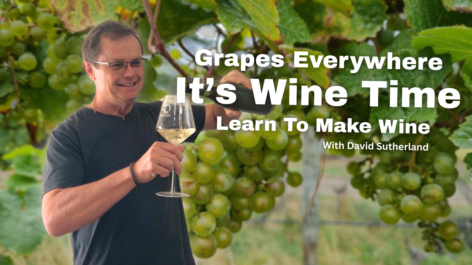 Learn to Make Wine – The Perfect Way to Use Up Extra Grapes This Seaso ...